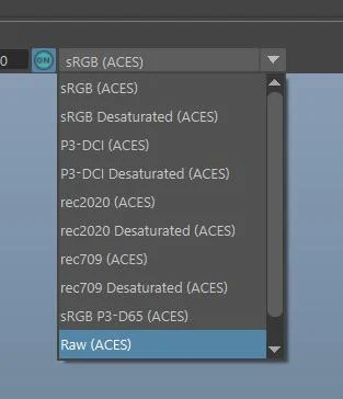 New to ACES workflow - why does “ACES 1.0 SDR Video (SRGB)” not show up in view transforms ...