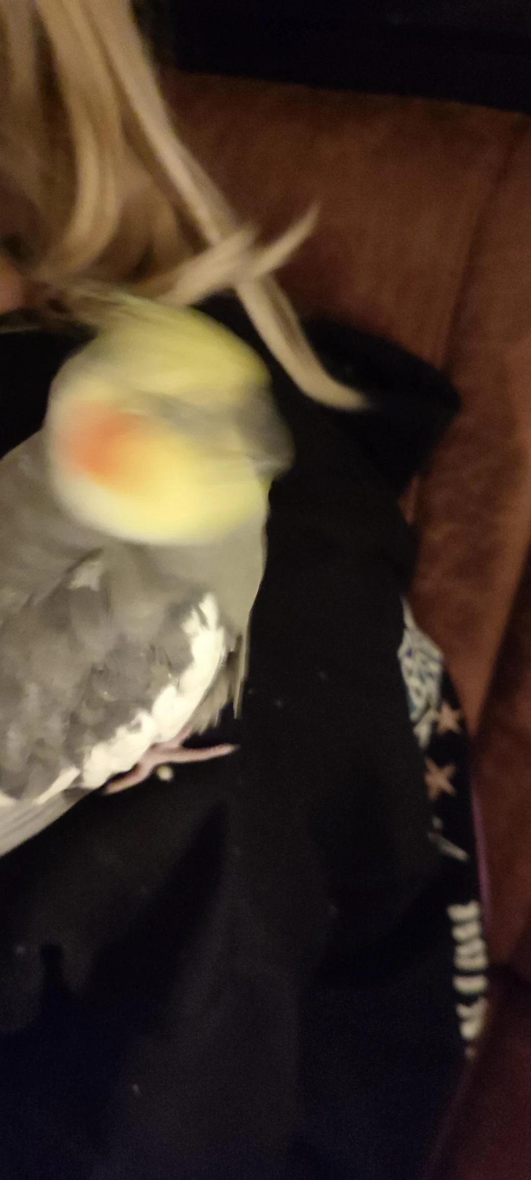 He's on that seeb Rush | Scrolller