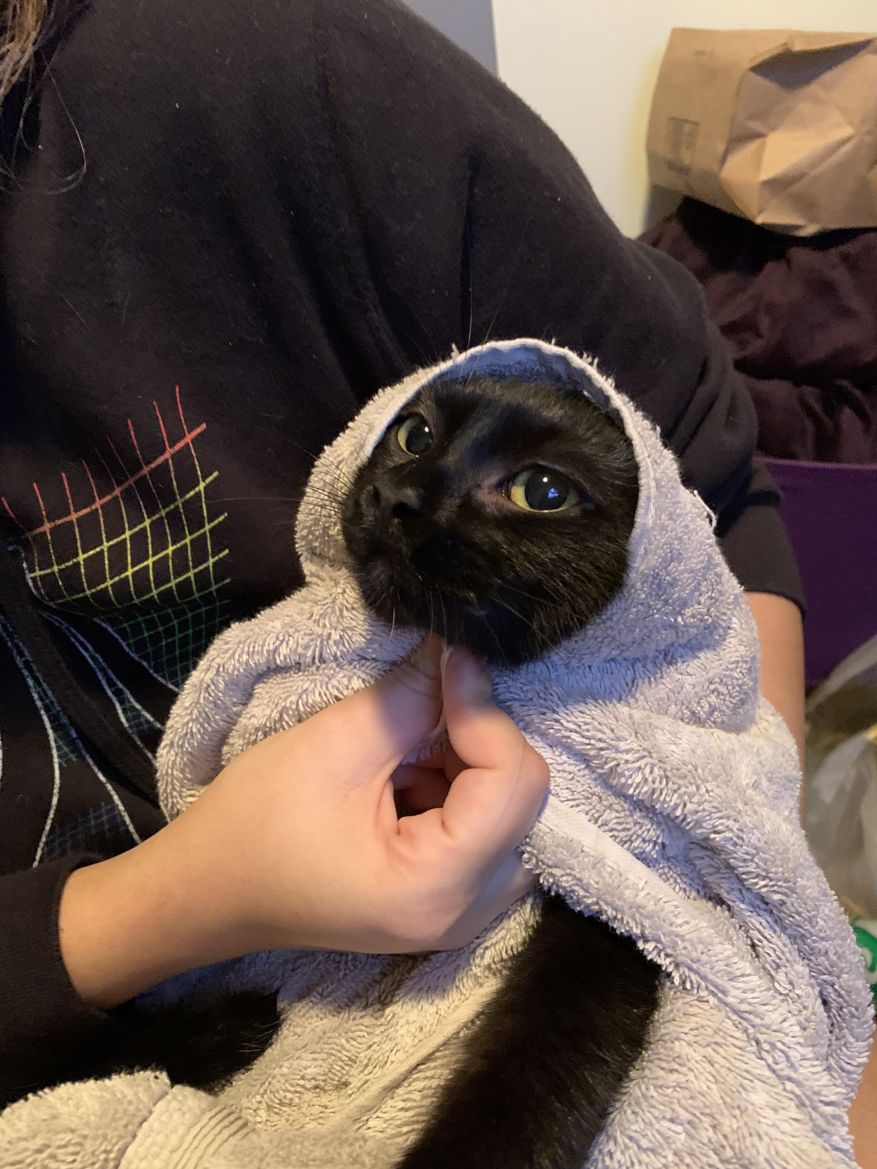 Post-shower Shenanigans | Scrolller