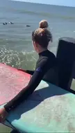 HMC While I learn about aerodynamics | Scrolller