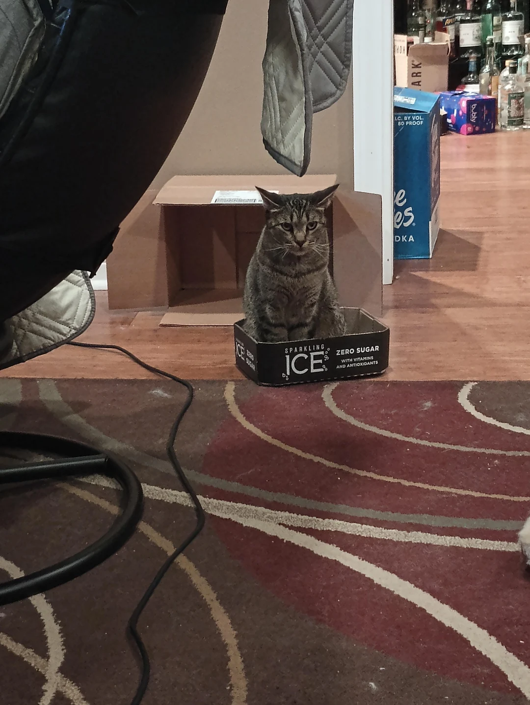 Sparkling ice cat trap | Scrolller