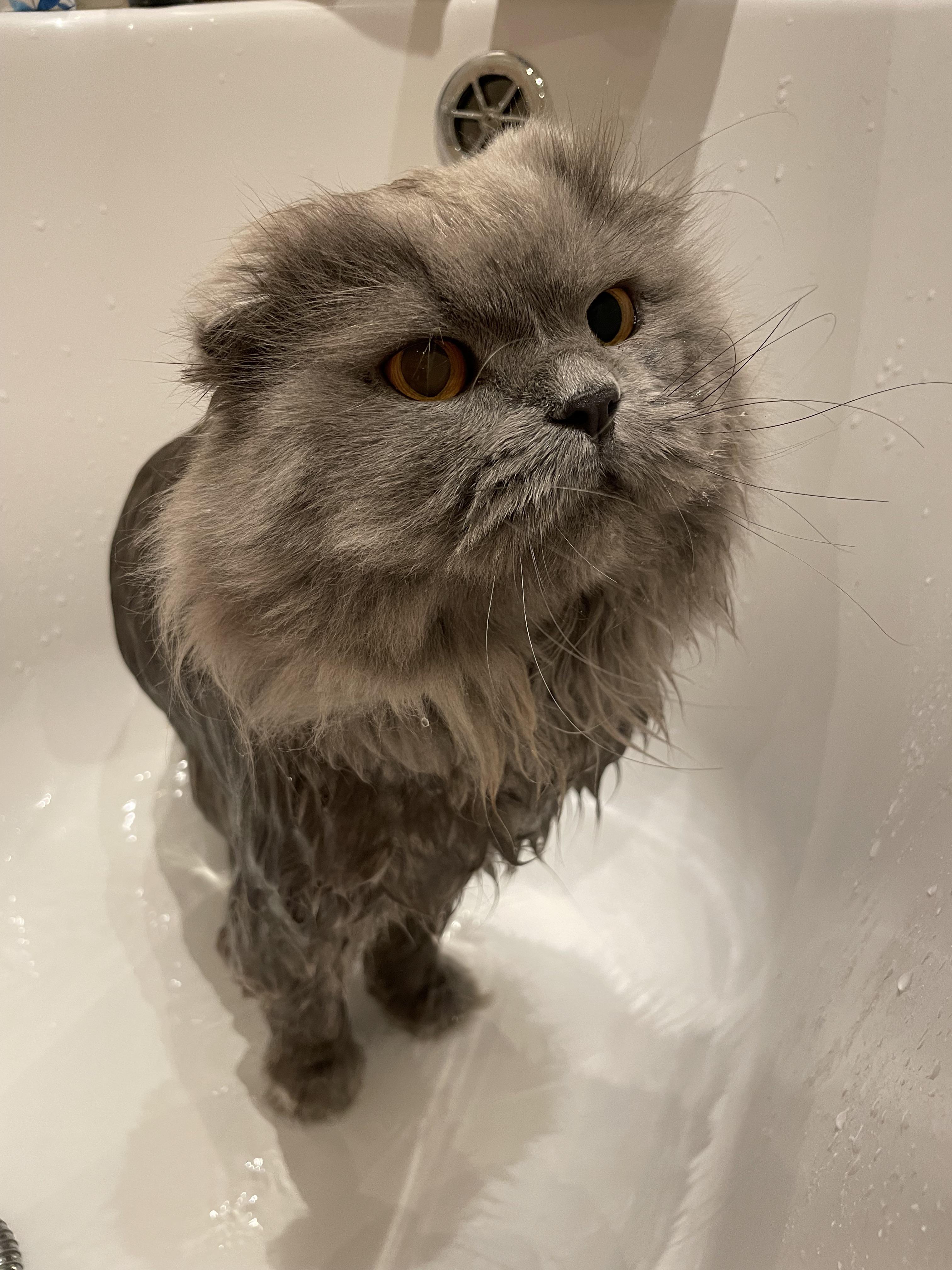 Bathing time | Scrolller