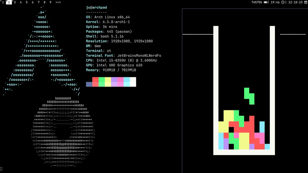 [dwm] minimalist setup | Scrolller