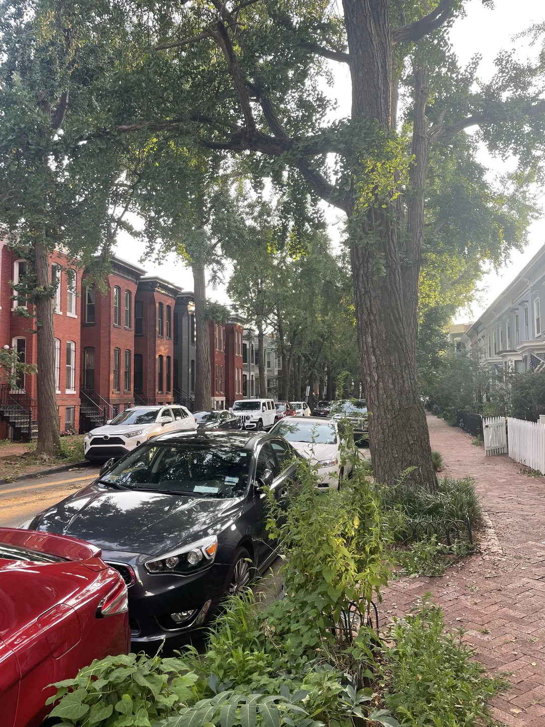 Washington, D.C. | Scrolller