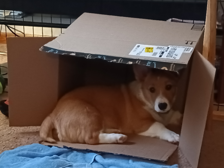 Delivery | Scrolller