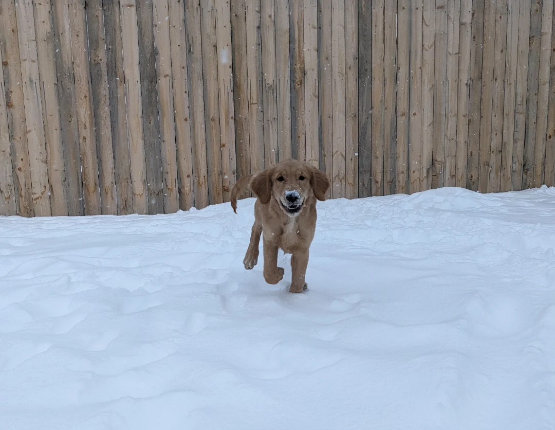 Smiling and enjoying his first big snowfall. | Scrolller