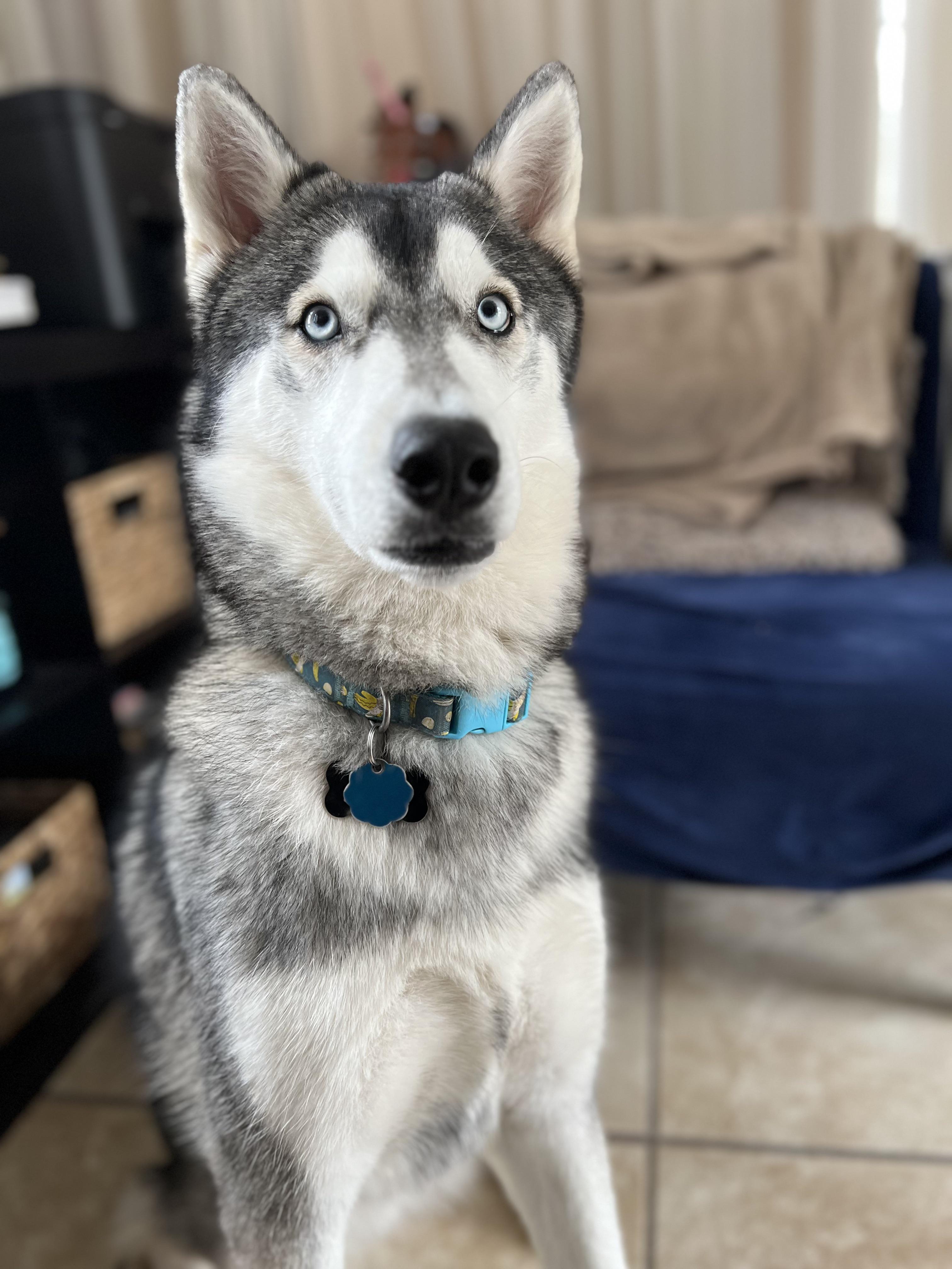 Just wanted to share my Bruce | Scrolller