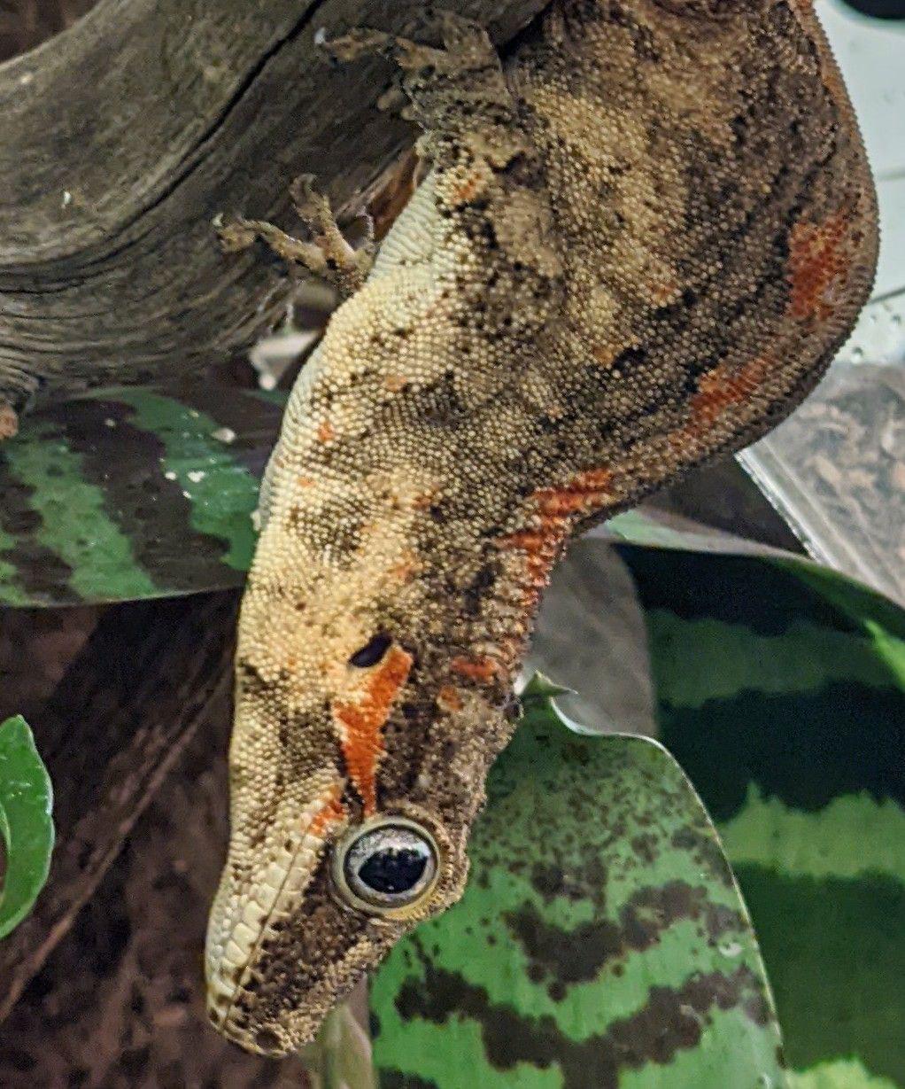 What's gravity? | Scrolller