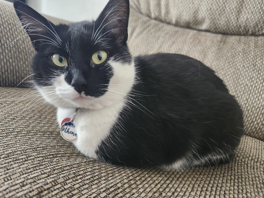 Fresh little loaf | Scrolller