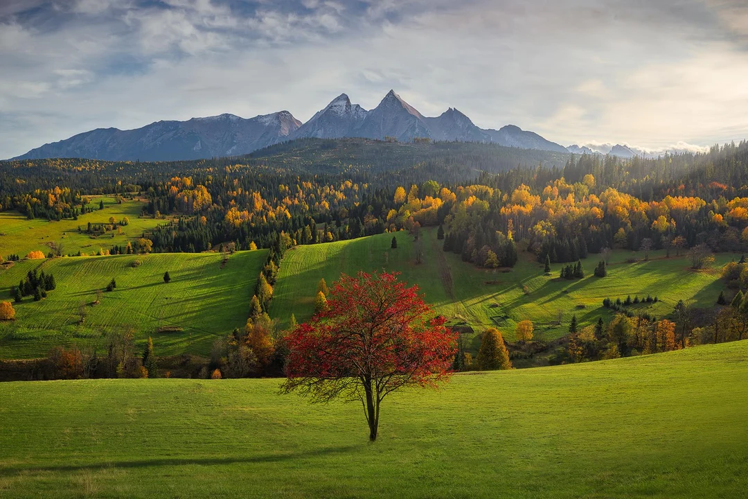 Fall colors in the foothills of the Tatra Mountains, Slovakia [OC][1800x1200] | Scrolller