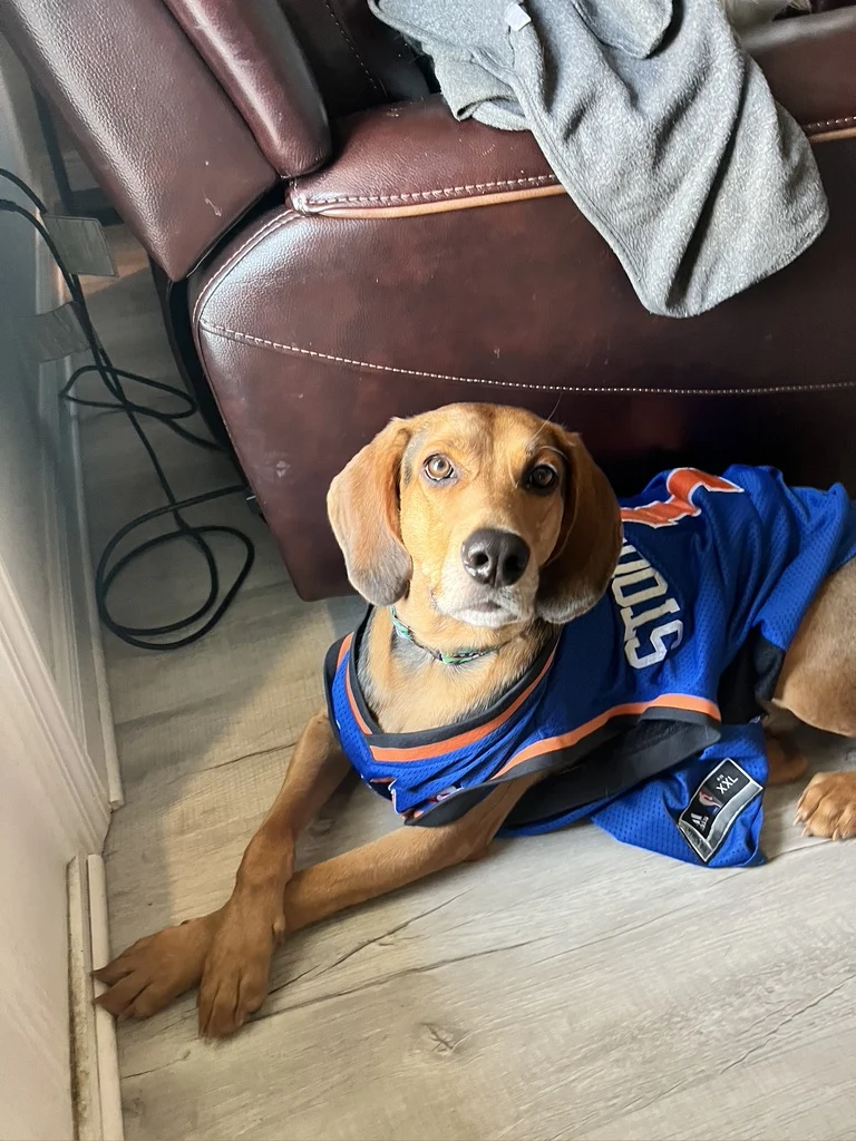 Sir Bing Bong is ready for Halloween AND game day | Scrolller