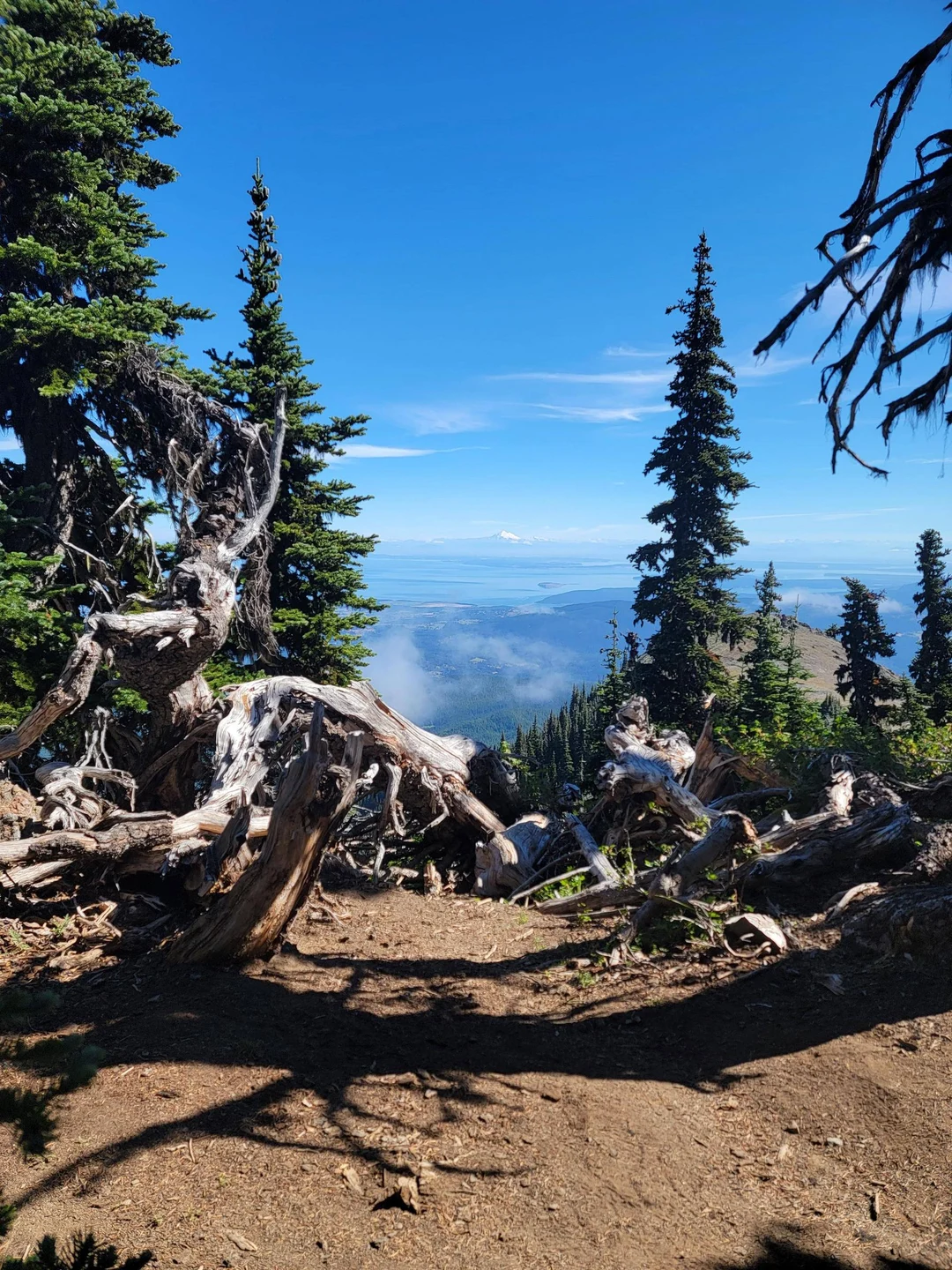 Mt. Baker across the Puget Sound [3000x4000] [OC] | Scrolller