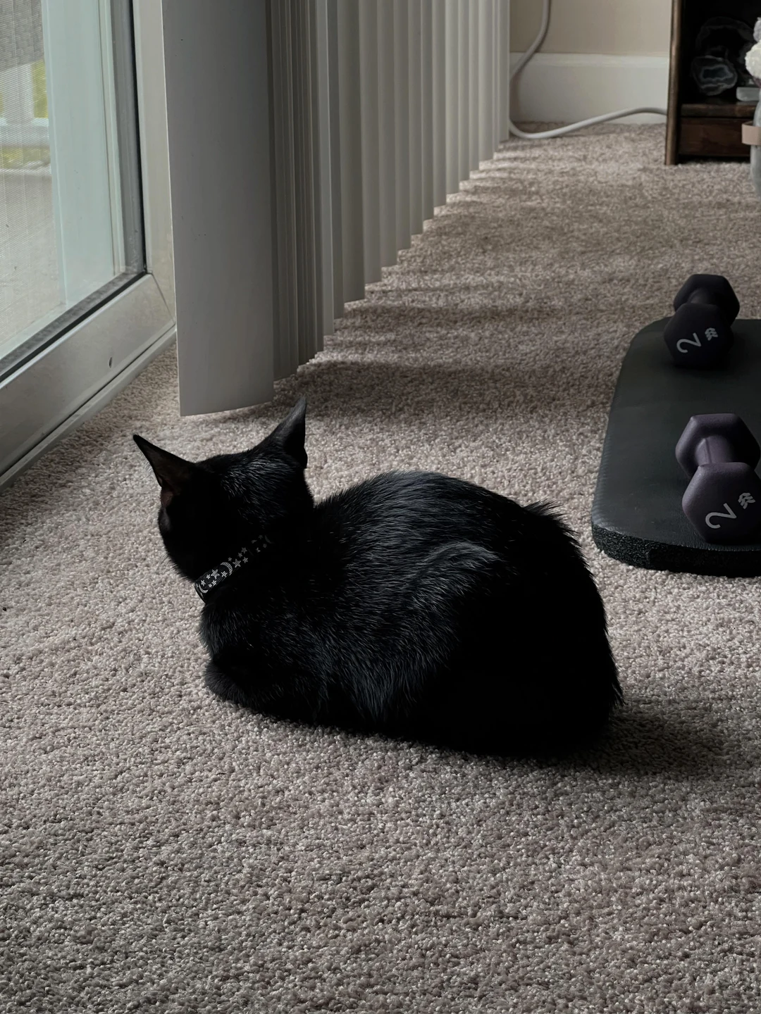 baby burnt loaf | Scrolller