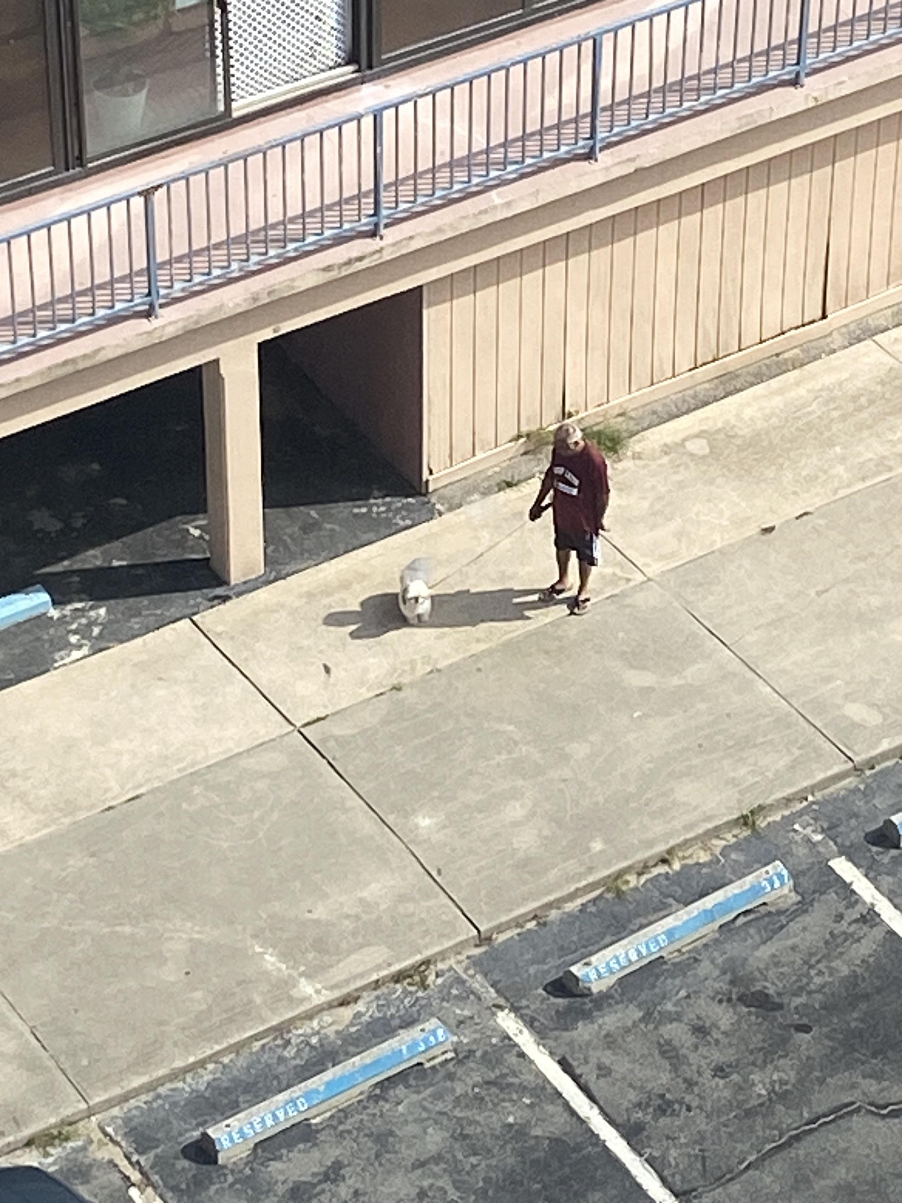 Marcus went on a Maryland beach stroll! | Scrolller