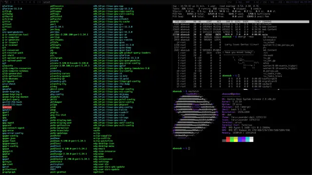 [dwm] a simple gentoo rice | Scrolller