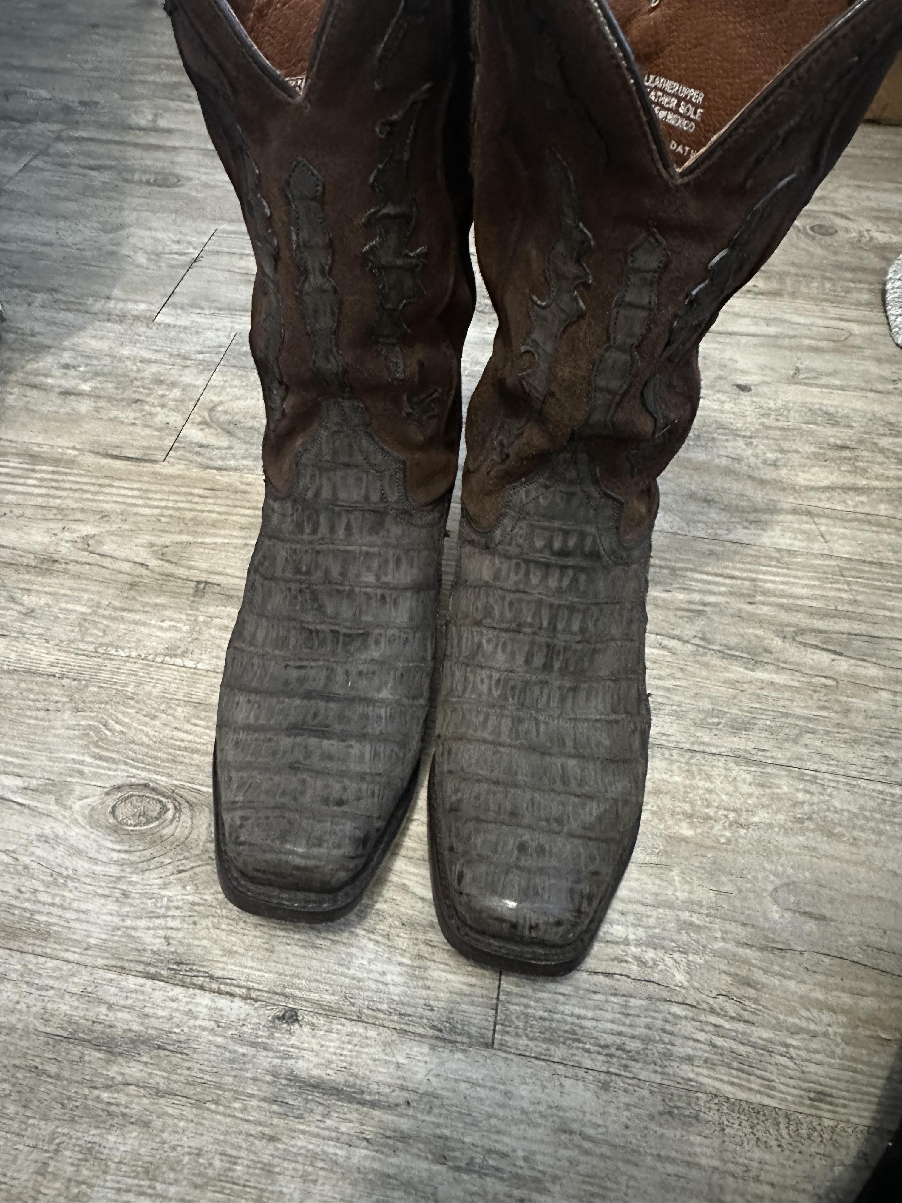 New caiman Dan post | Scrolller