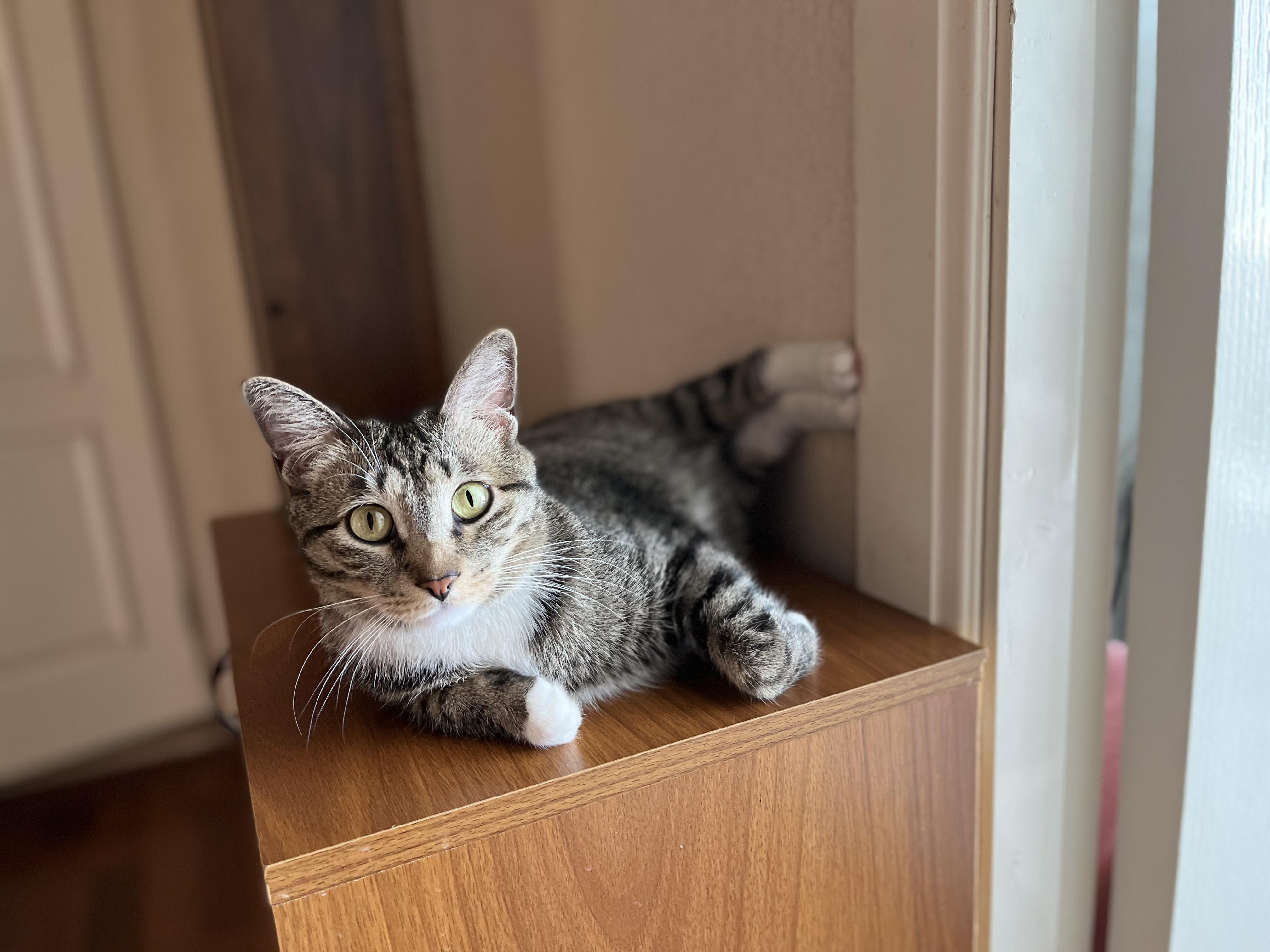 Strike a pose | Scrolller