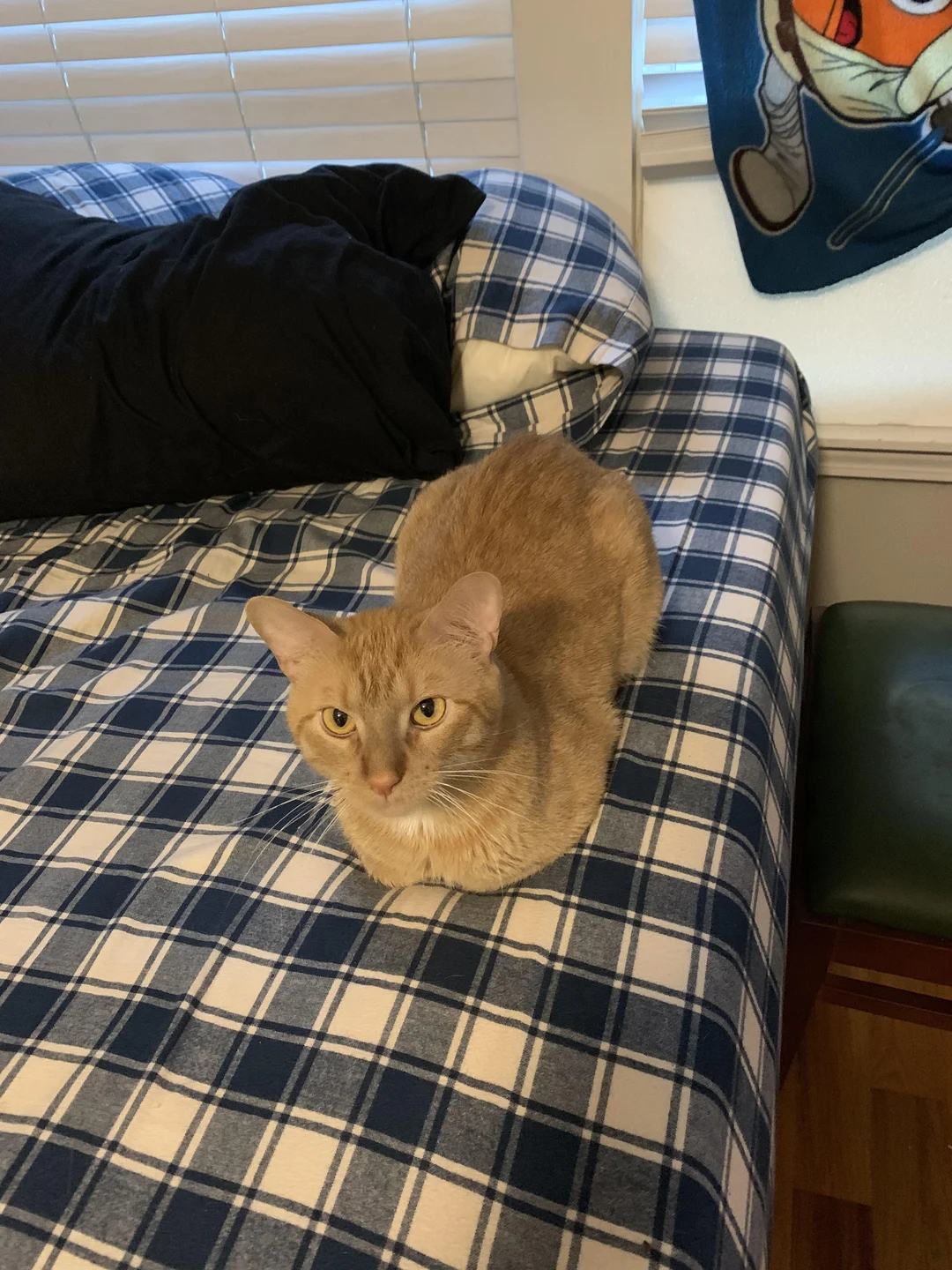 Freshly baked | Scrolller