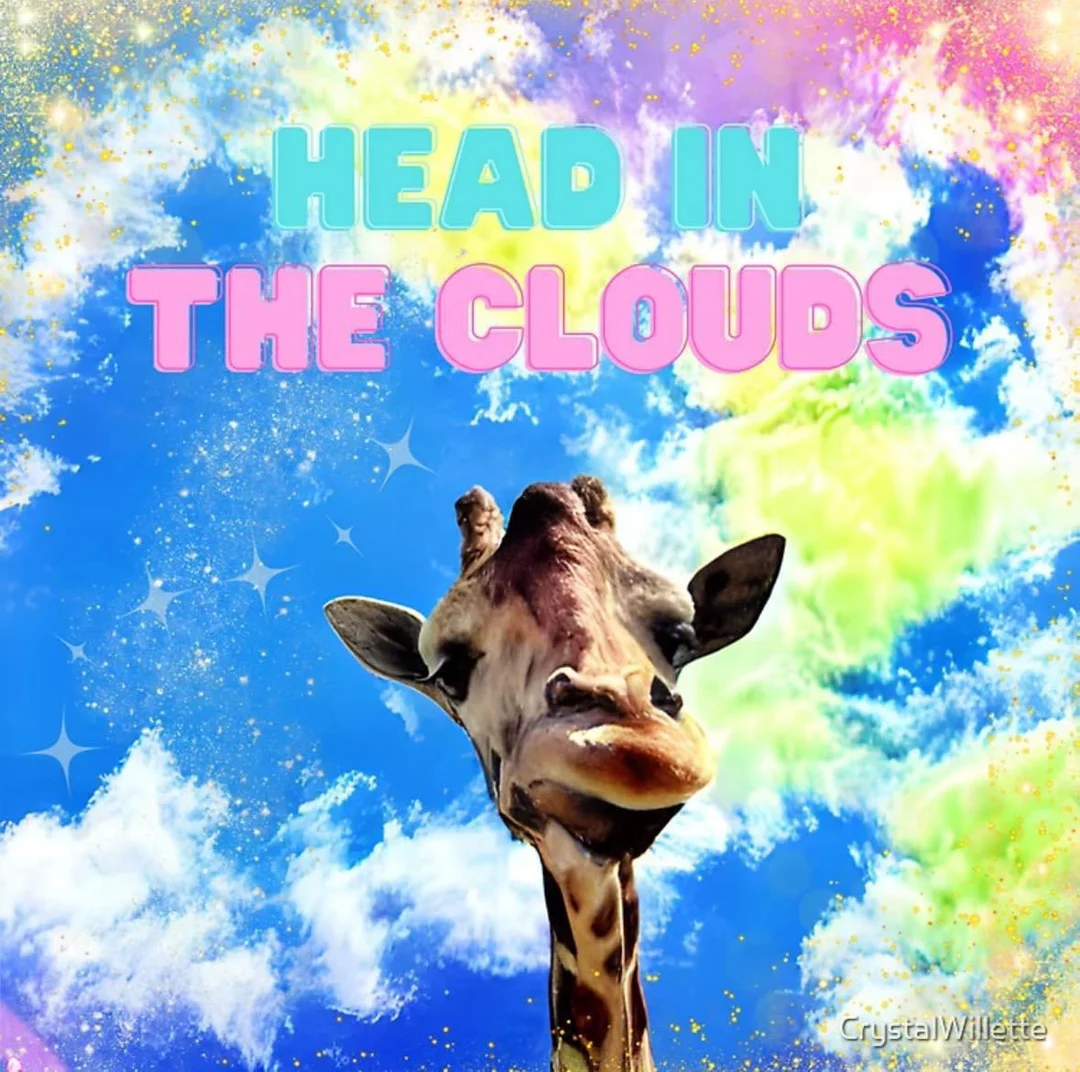 Head In The Clouds | Scrolller