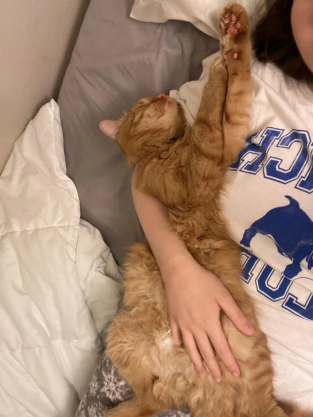 Sibling question | Scrolller