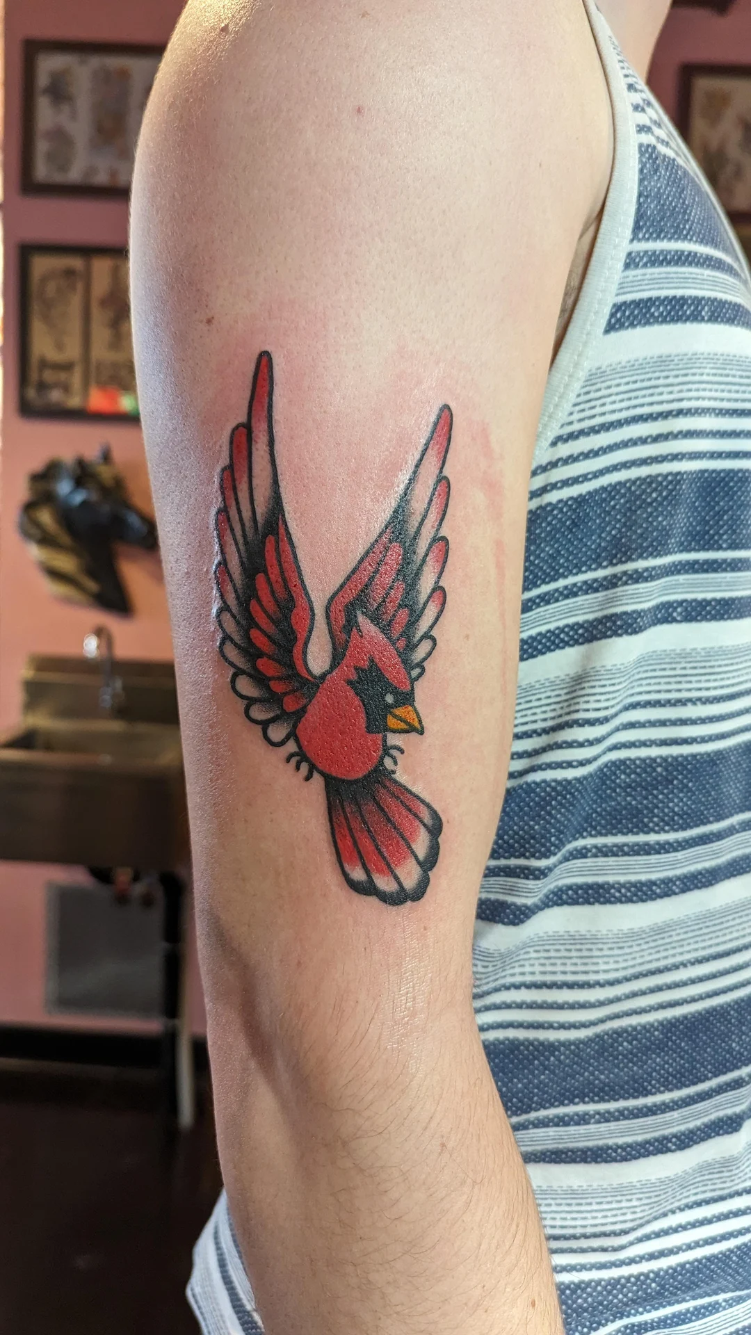 First tattoo of 2024! Traditional Cardinal done in Bowmanville, Ontario | Scrolller