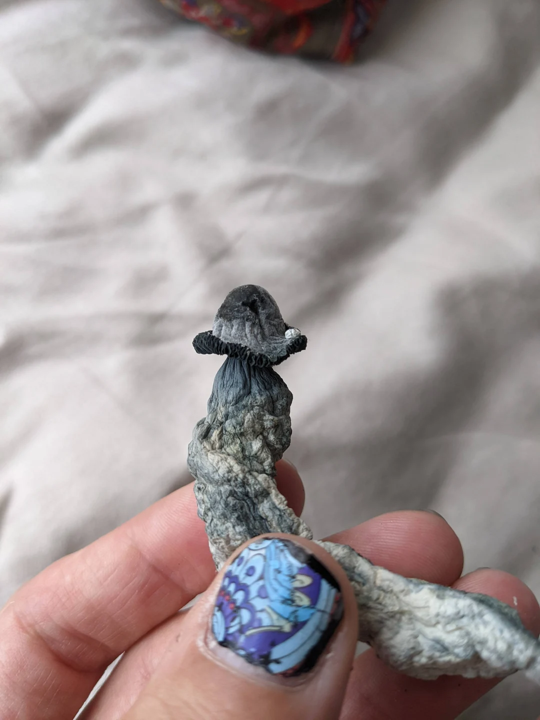 Beautiful dried APE | Scrolller