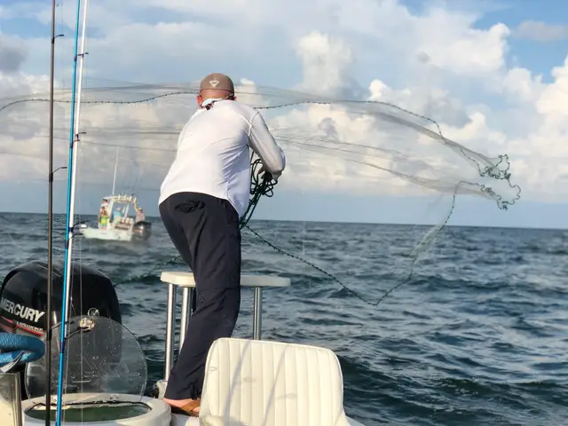 Cool photo my wife took off me throwing the cast net. Gulf was a little rough. | Scrolller