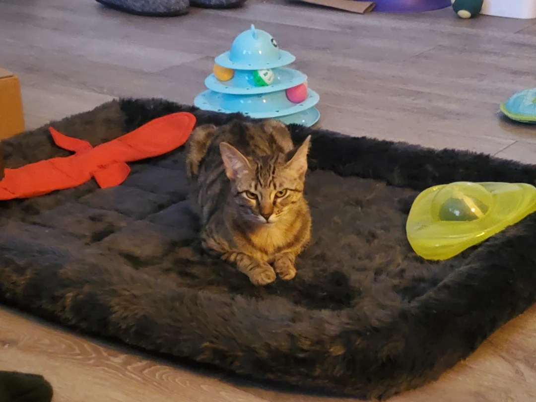 Zero remorse | Scrolller