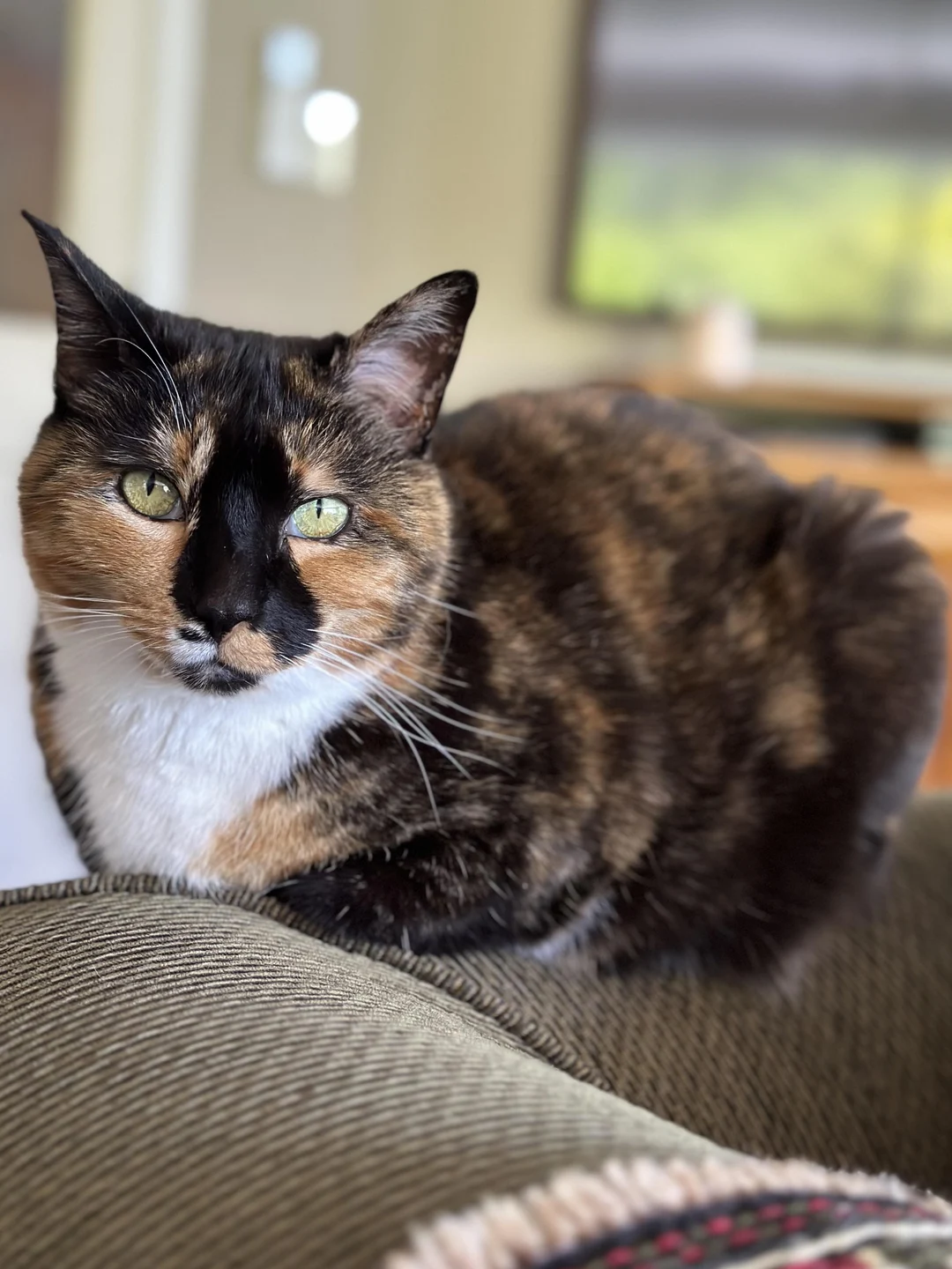 Cinnamon loaf | Scrolller