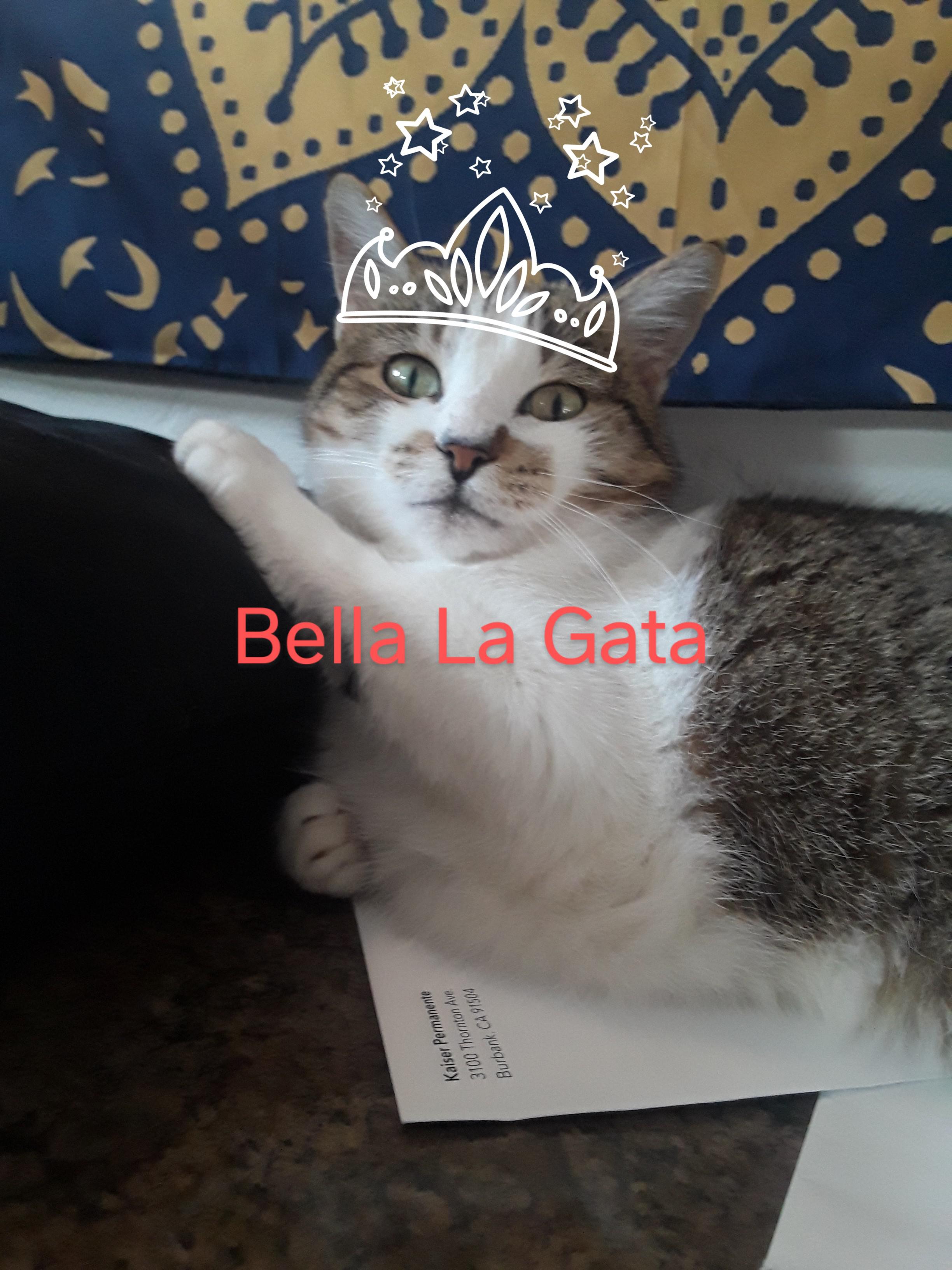 RIP your highness. You're greatly missed💔 | Scrolller