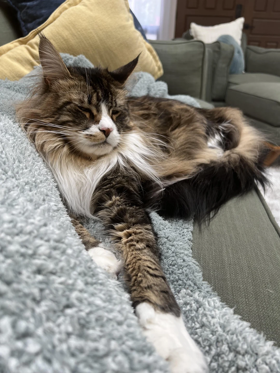 Our sweet 1.5 year old, Juniper | Scrolller