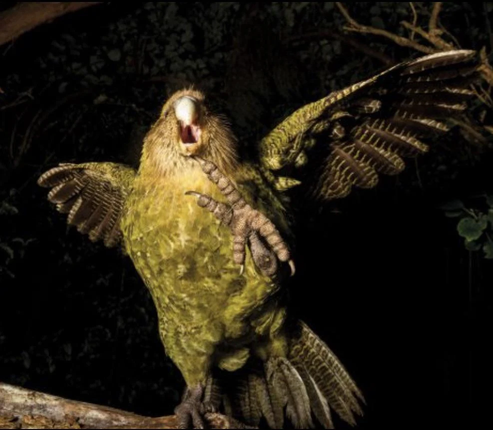 “LETS GET THIS PARTY STARTED!” | Scrolller