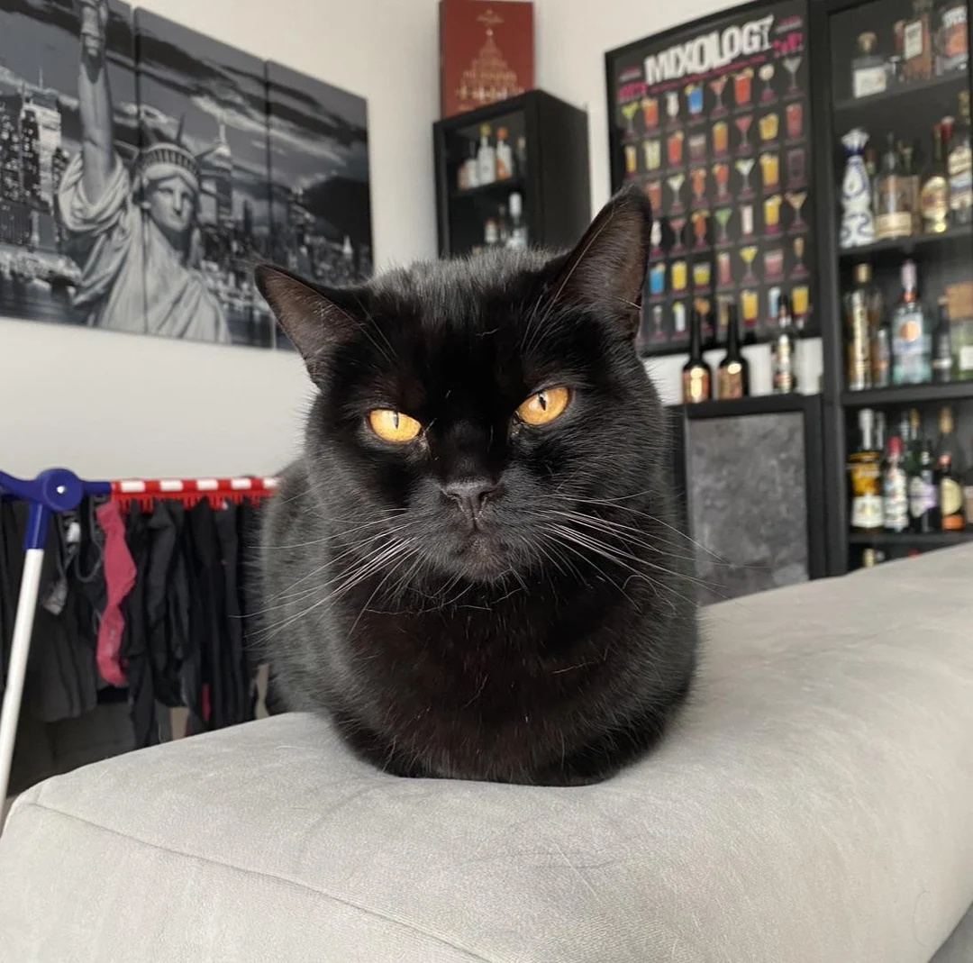 Burnt loaf | Scrolller