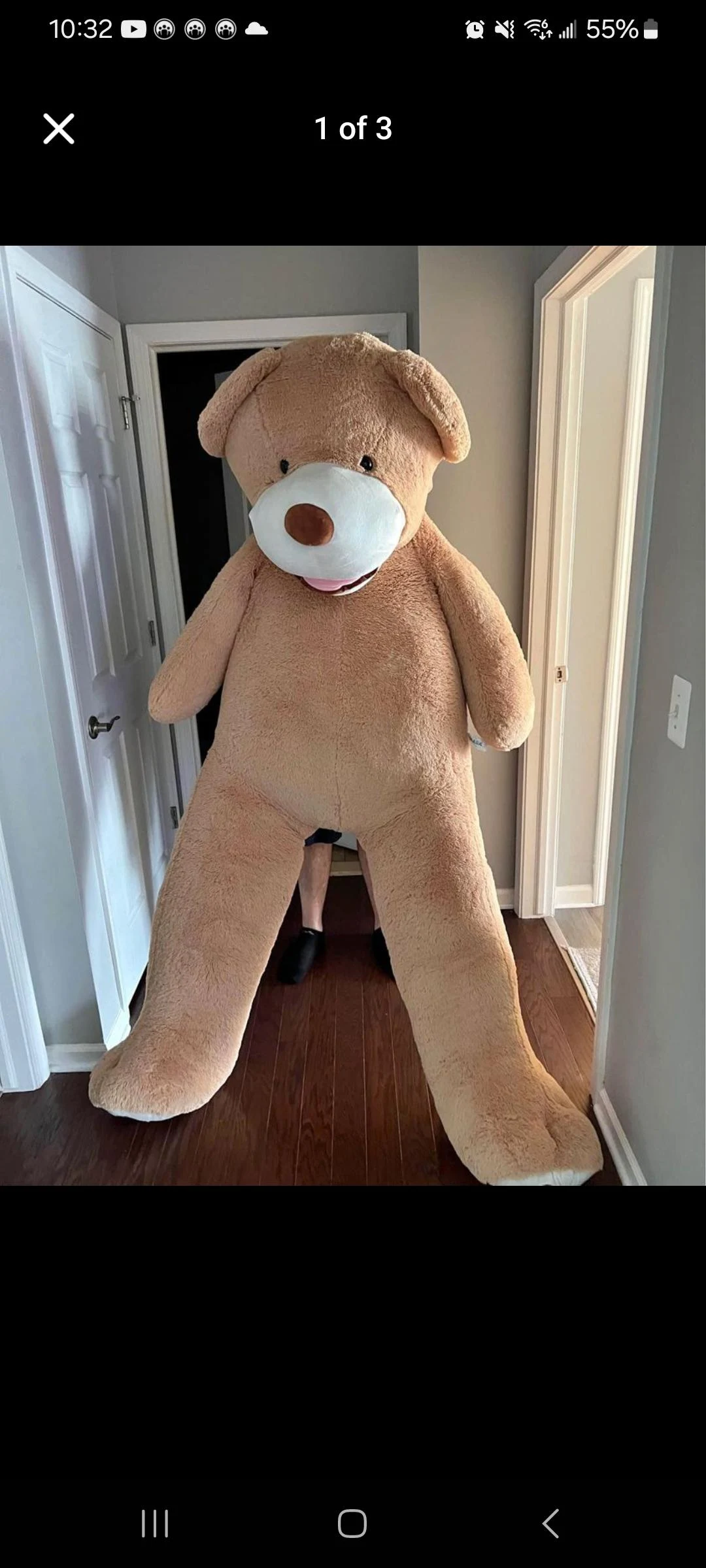 TED double take | Scrolller