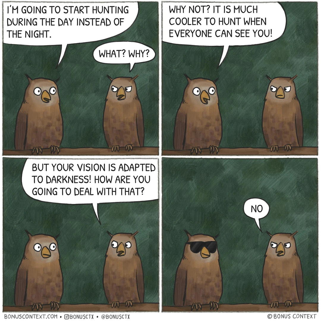 Discover more like Owls: Night hunter and Related Content | Scrolller