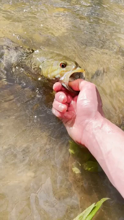 Love these red eye rocket fish. | Scrolller