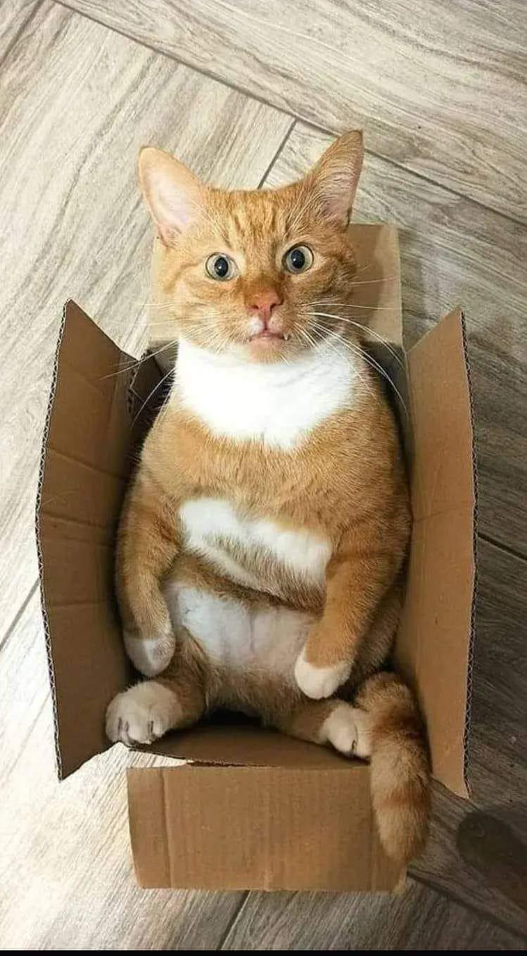 Finally caught him off guard | Scrolller