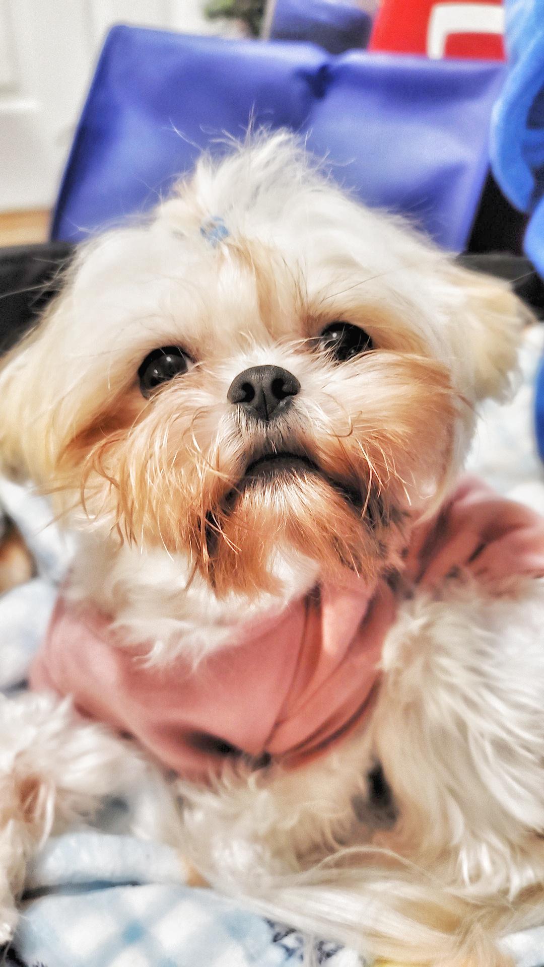 Annabelle | Scrolller