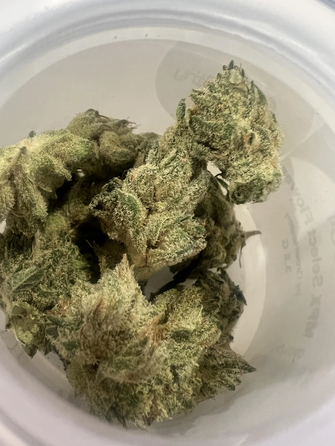 GG4 slapped like will smith | Scrolller