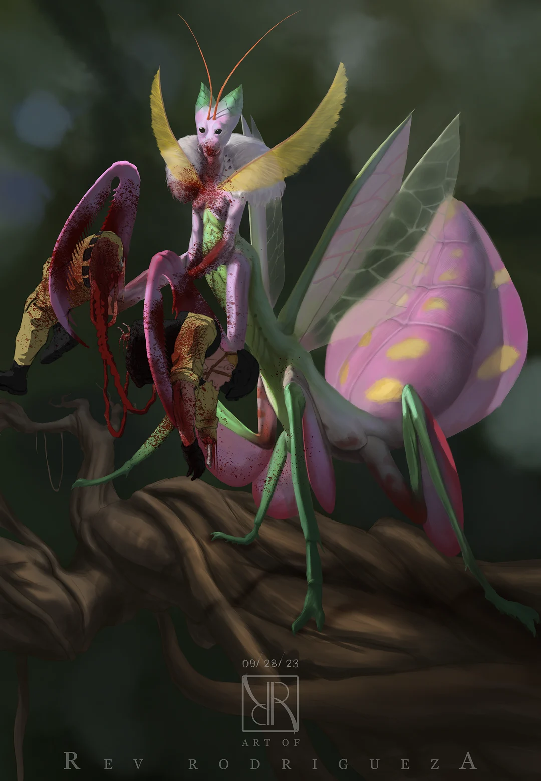 Man-eating Flower Mantis | Scrolller