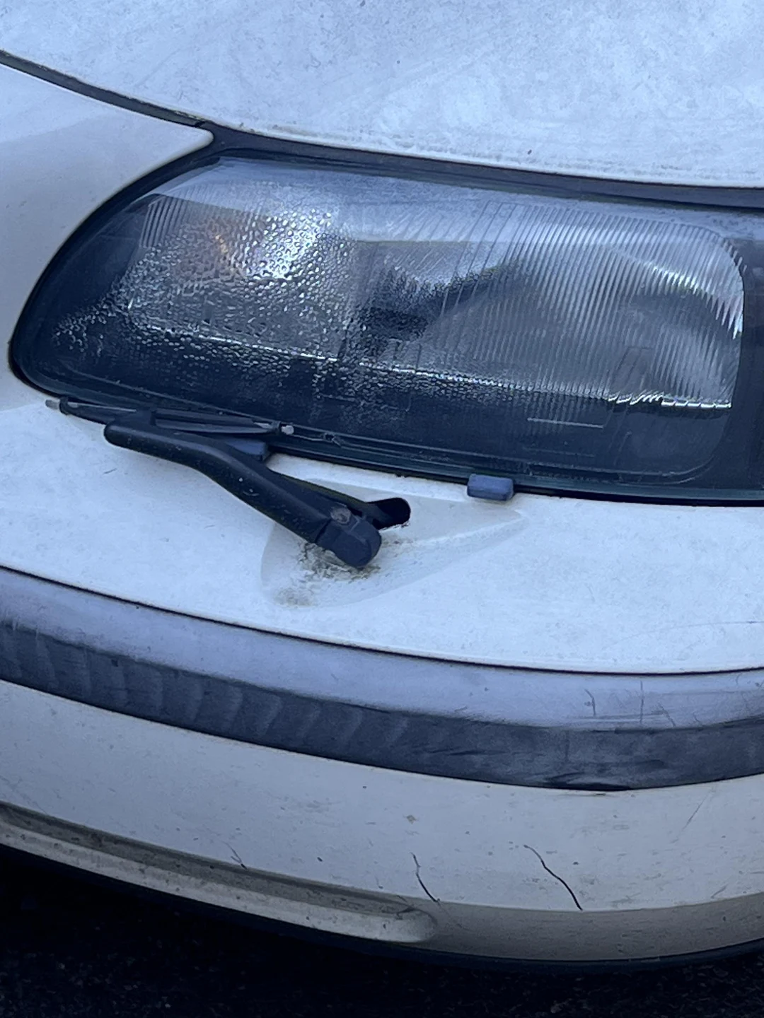 This tinie wiper for the headlights | Scrolller