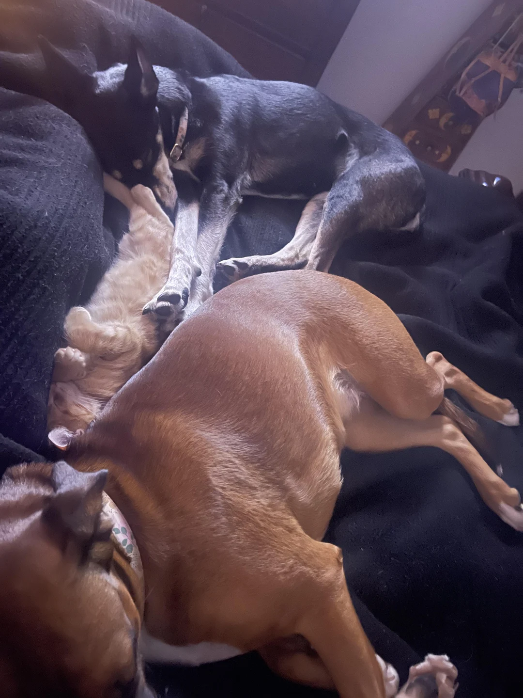 2 sisters cuddling and protecting their little brother. I mean can you be any cuter | Scrolller