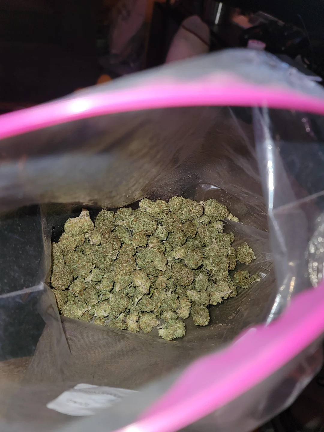 I can't get over this bag of weed my dad gave me for Thanksgiving | Scrolller