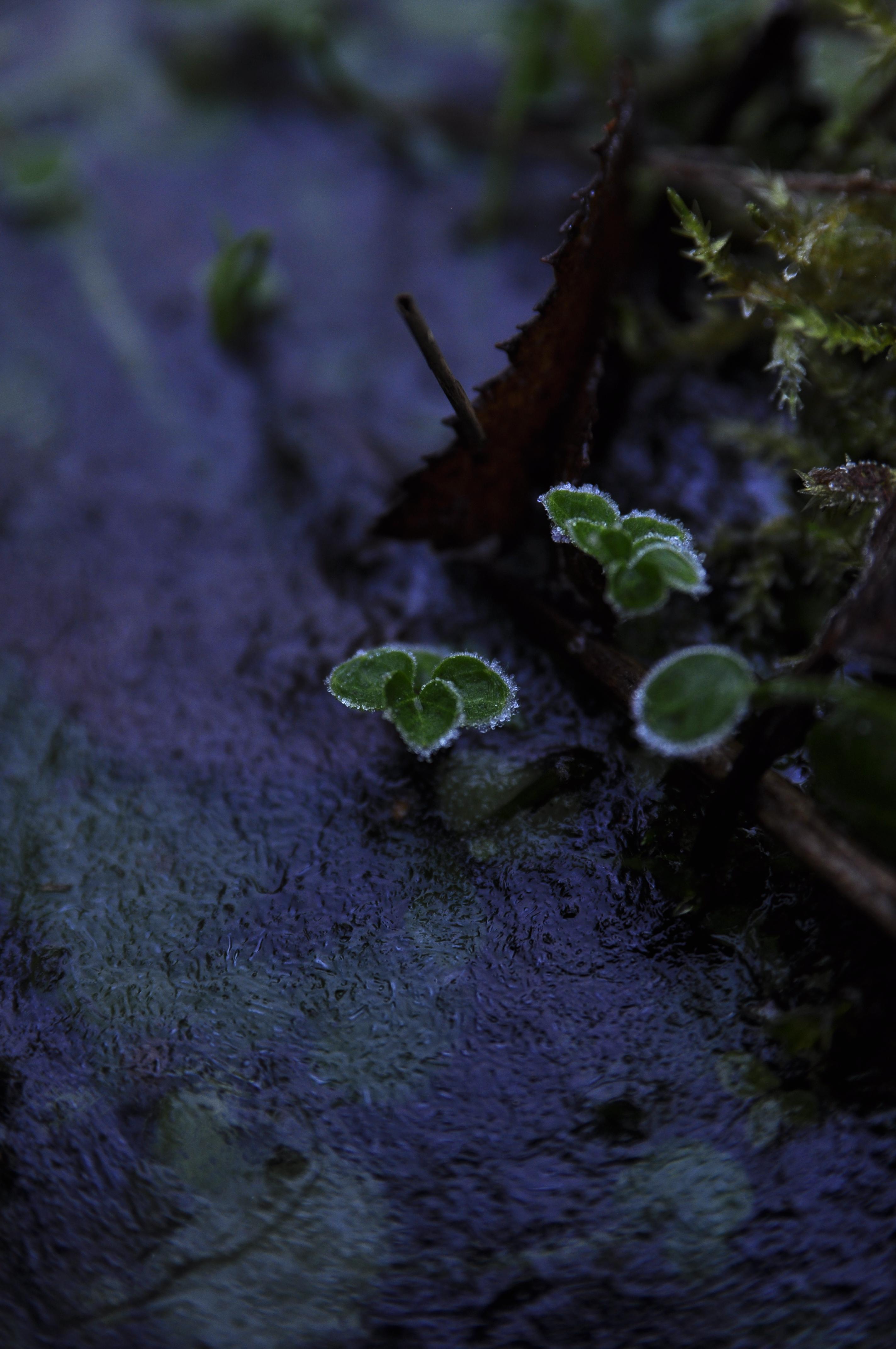 Perseverance | Scrolller