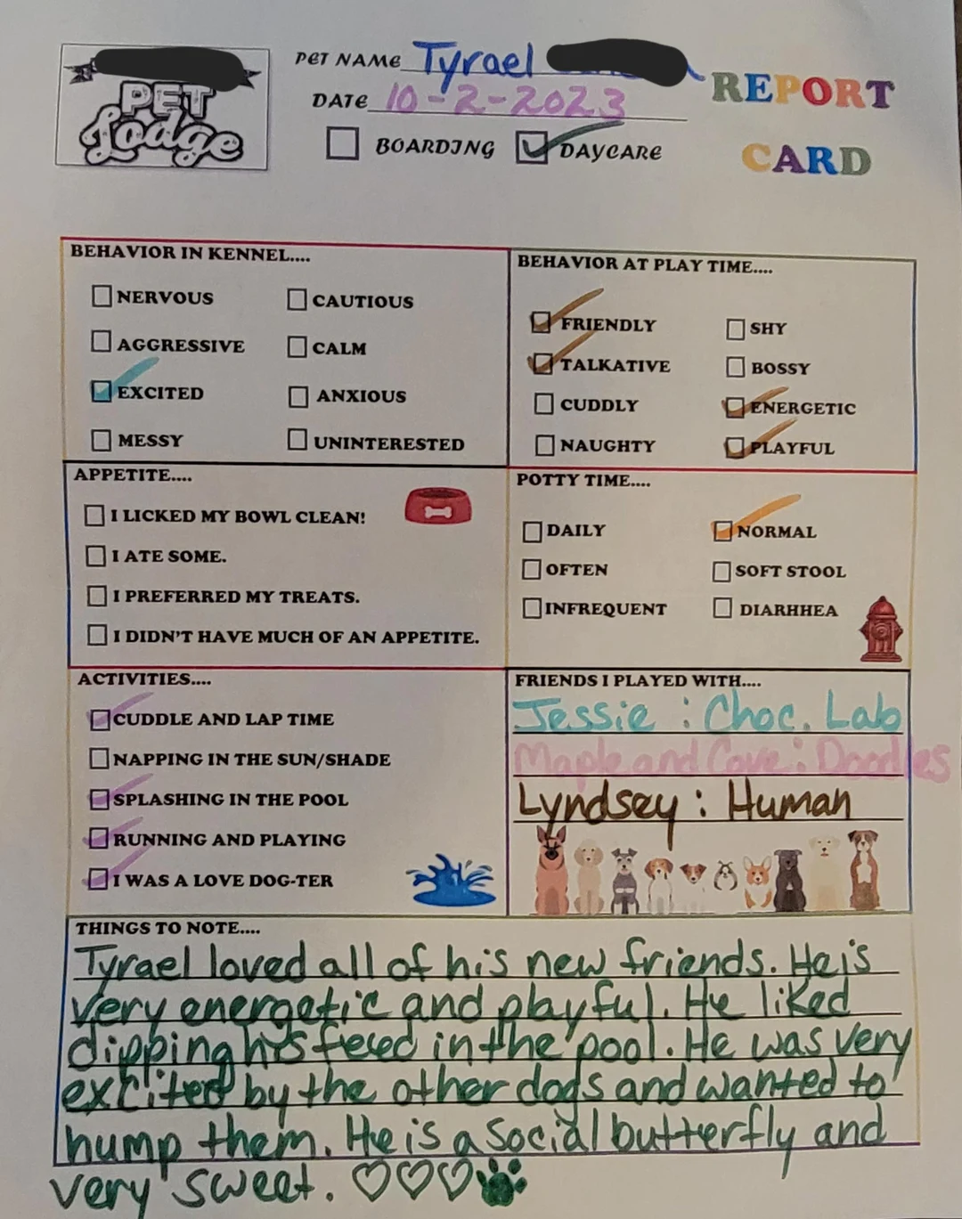 First Report Card - we got a humper! | Scrolller