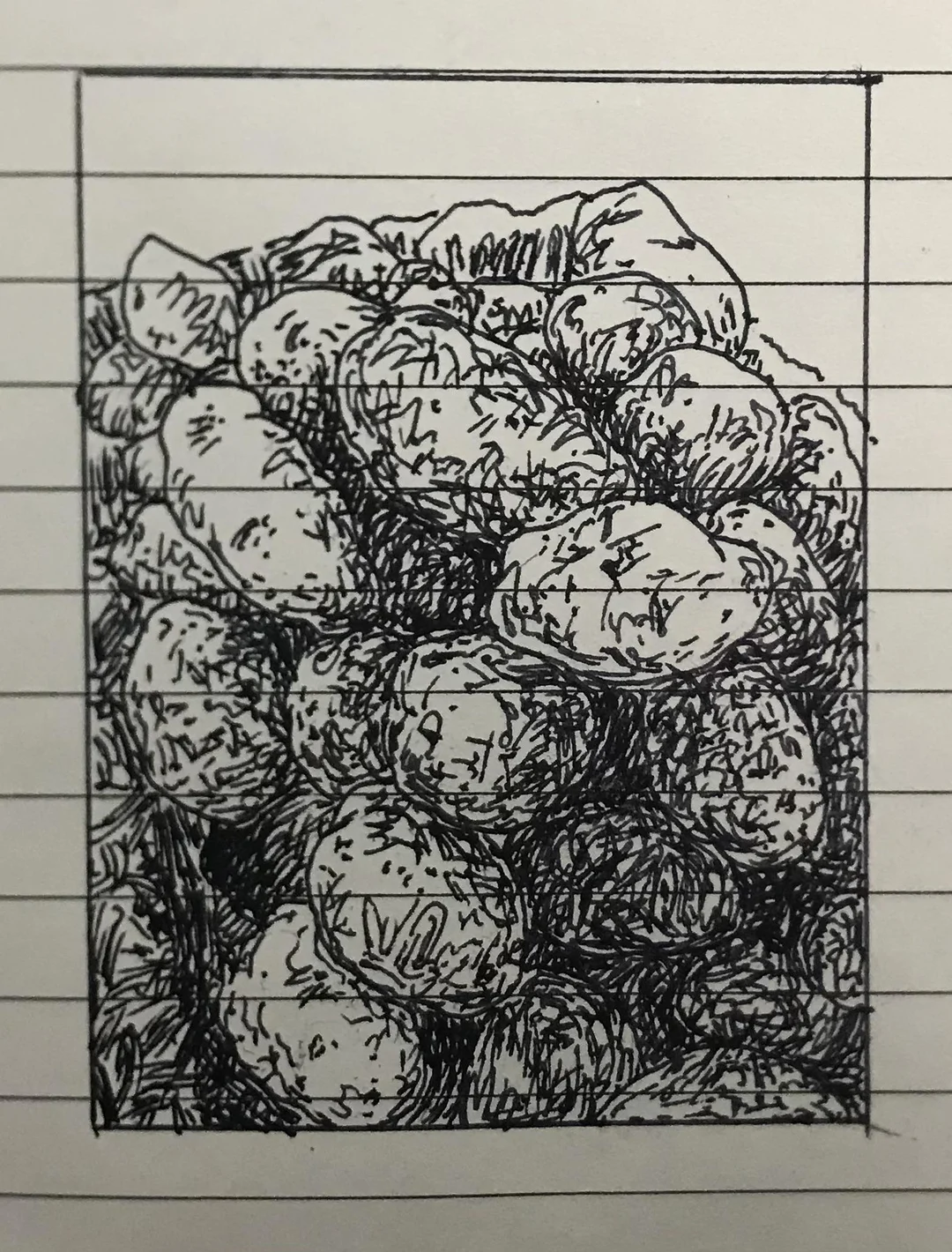 Potatoes,Me,Ink,2022 | Scrolller