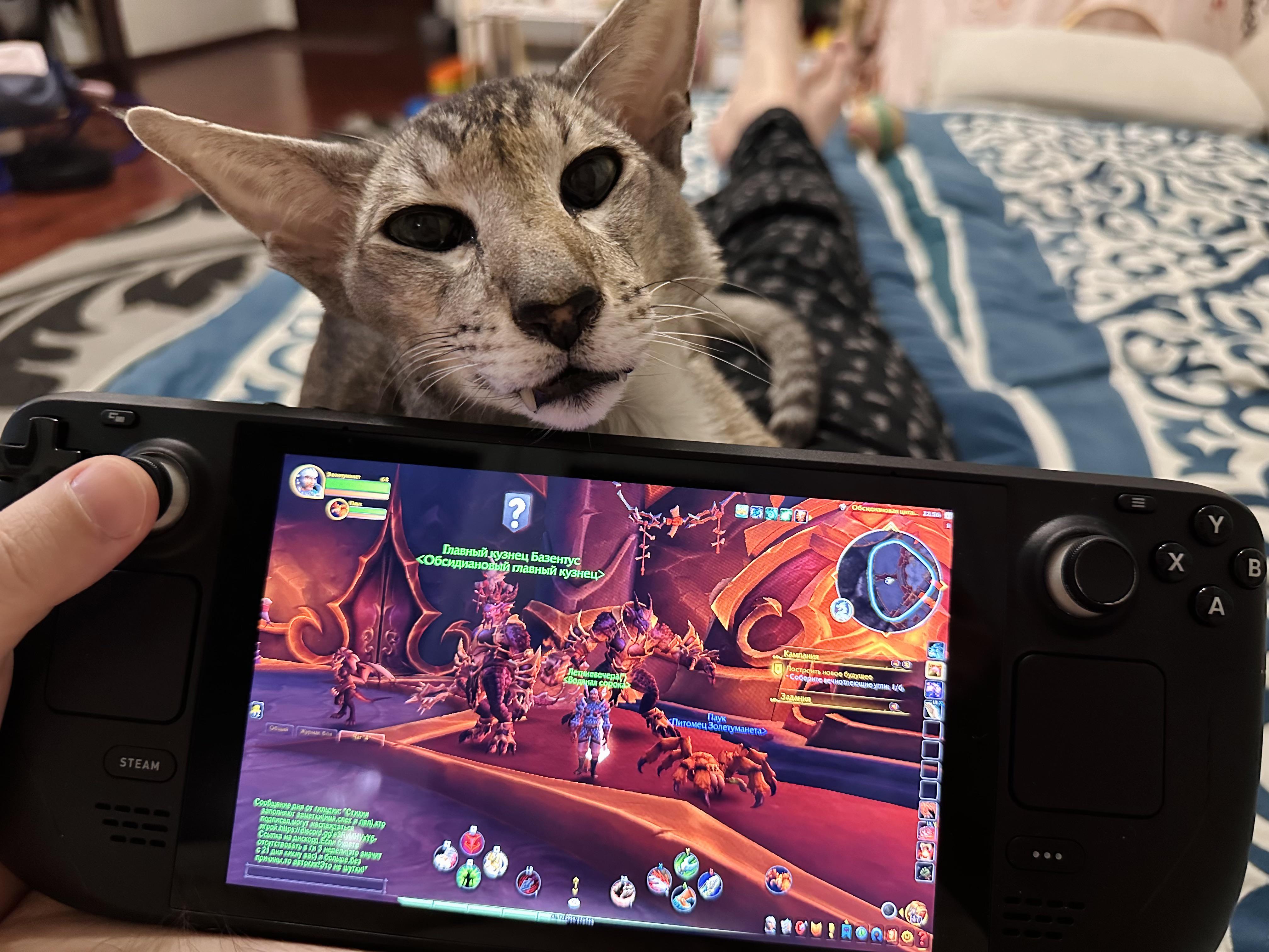 Who is your co-pilot? | Scrolller