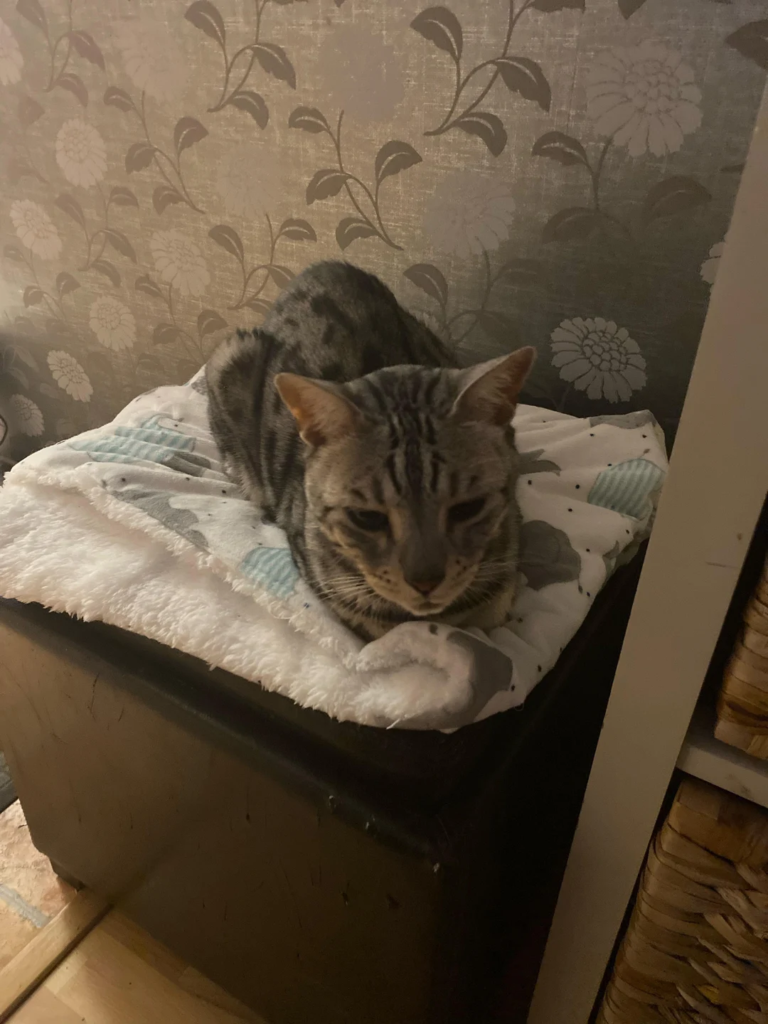 My sugar free loaf | Scrolller