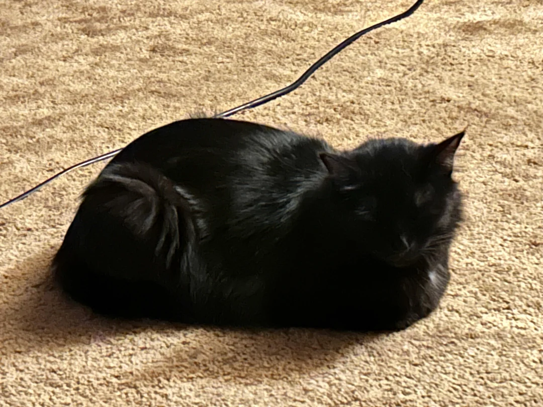 Stephen might be a burned loaf, but he's pretty cool | Scrolller