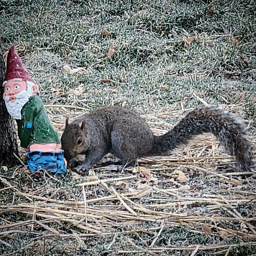 Etiquette? | Scrolller